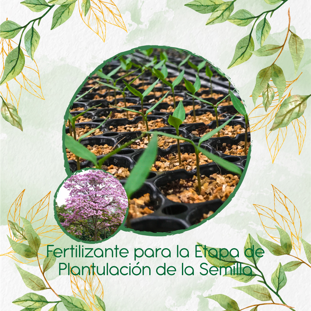 Fertilizantes Individuales Para Ocobo – Garden Green